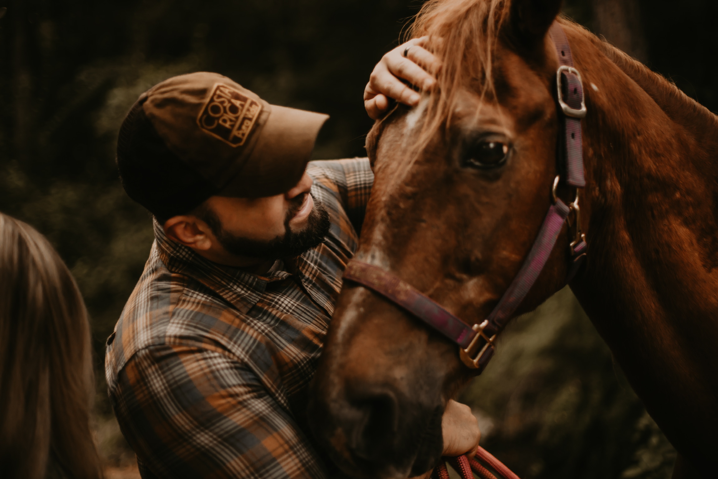 Our Sanctuary – Fighting Chance Ranch & Rescue